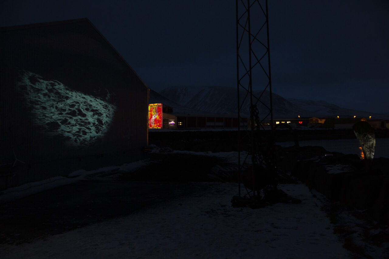 Gallery – Meredith Leich | NES Artist Residency